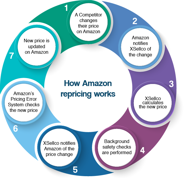 Quick Introduction to Amazon Pricing Strategies
