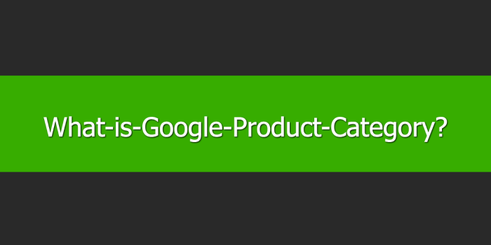 What is Google Product Category?