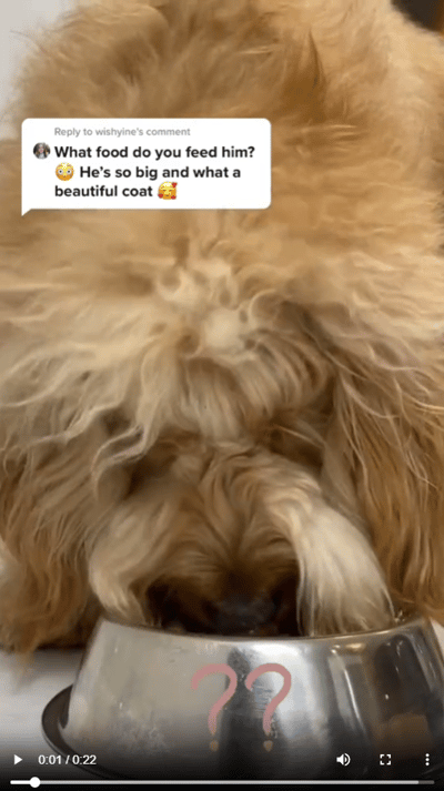 10 TikTok Ad Examples that Work for Retail in 2024