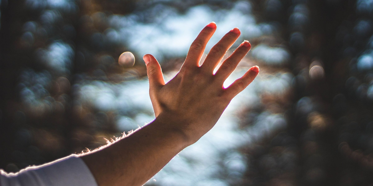 The eBay VeRO Program Explained